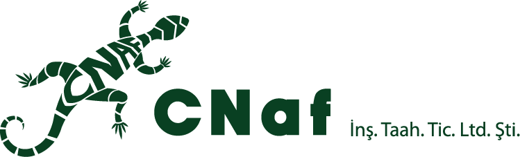 Cnaf Logo